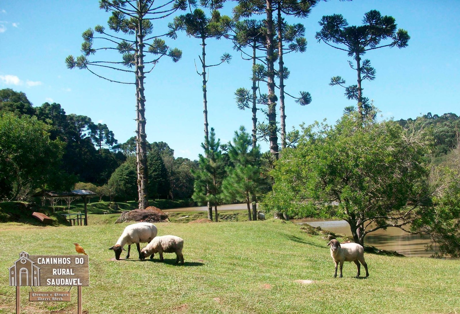 Feriado: veja 4 destinos com natureza exuberante - H.Lar